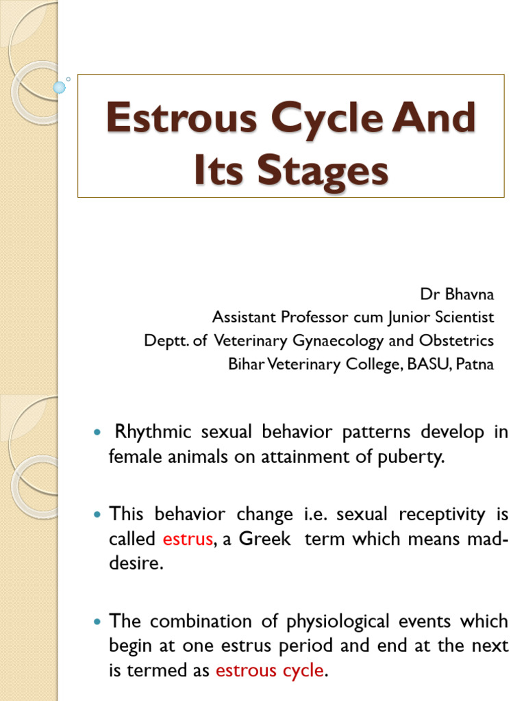 Understanding the Estrous Cycle Stages | PDF | Menstrual Cycle | Mammal ...