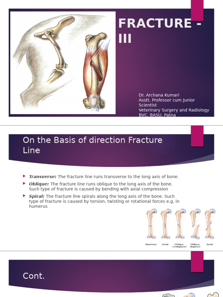 Lect 3 - Fracture - III | PDF | Hip | Bone