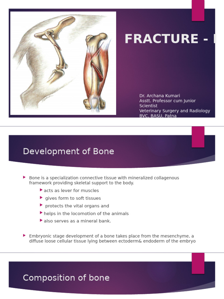Lect 1 - Fracture - I | PDF | Bone | Osteoblast