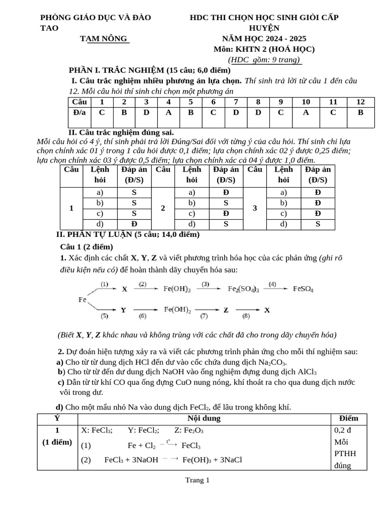 Đap án đề hsg khtn 2 2024-2025 | PDF