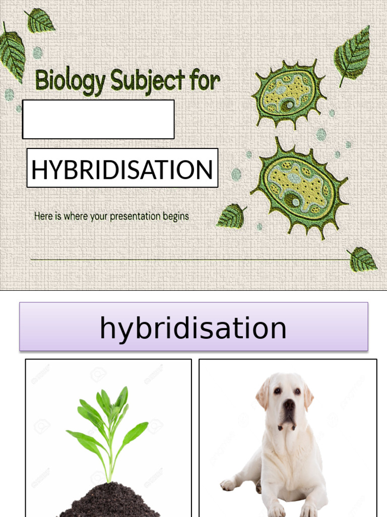 Class Ix: Hybridisation | PDF