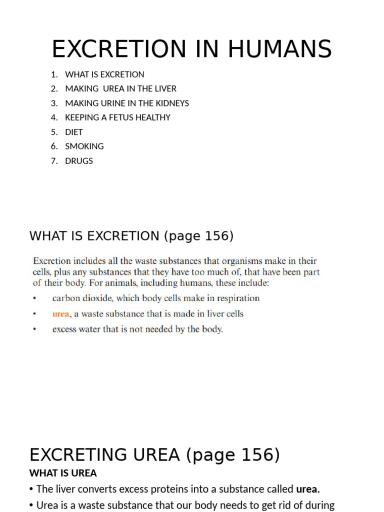 Human Excretion & Pregnancy Guide | PDF | Excretion | Kidney