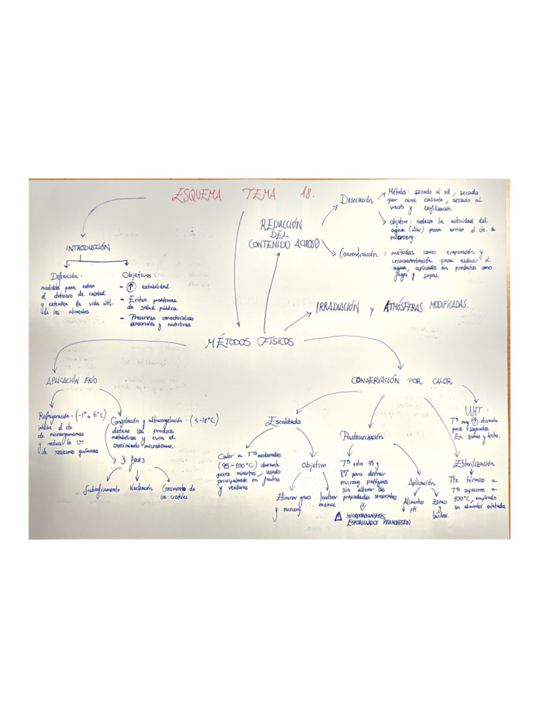 Esquema Tema 18 | PDF