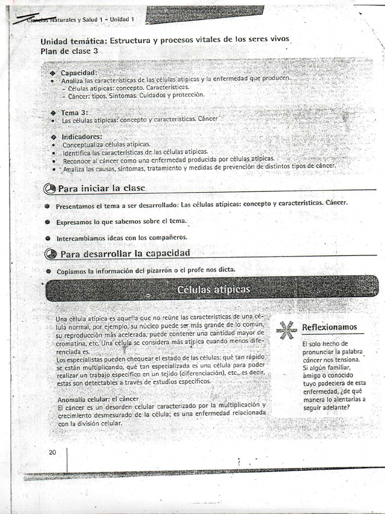 LUCAS | PDF