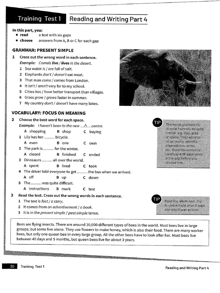 A2 KET Trainer 2020 Edition 2 Test 1 | PDF