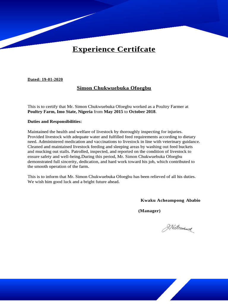Experience Letter | PDF | Wellness