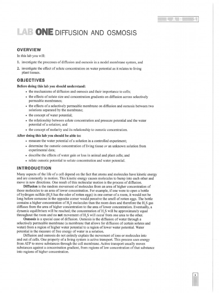 Lab 1 Diffusion and Osmosis | PDF
