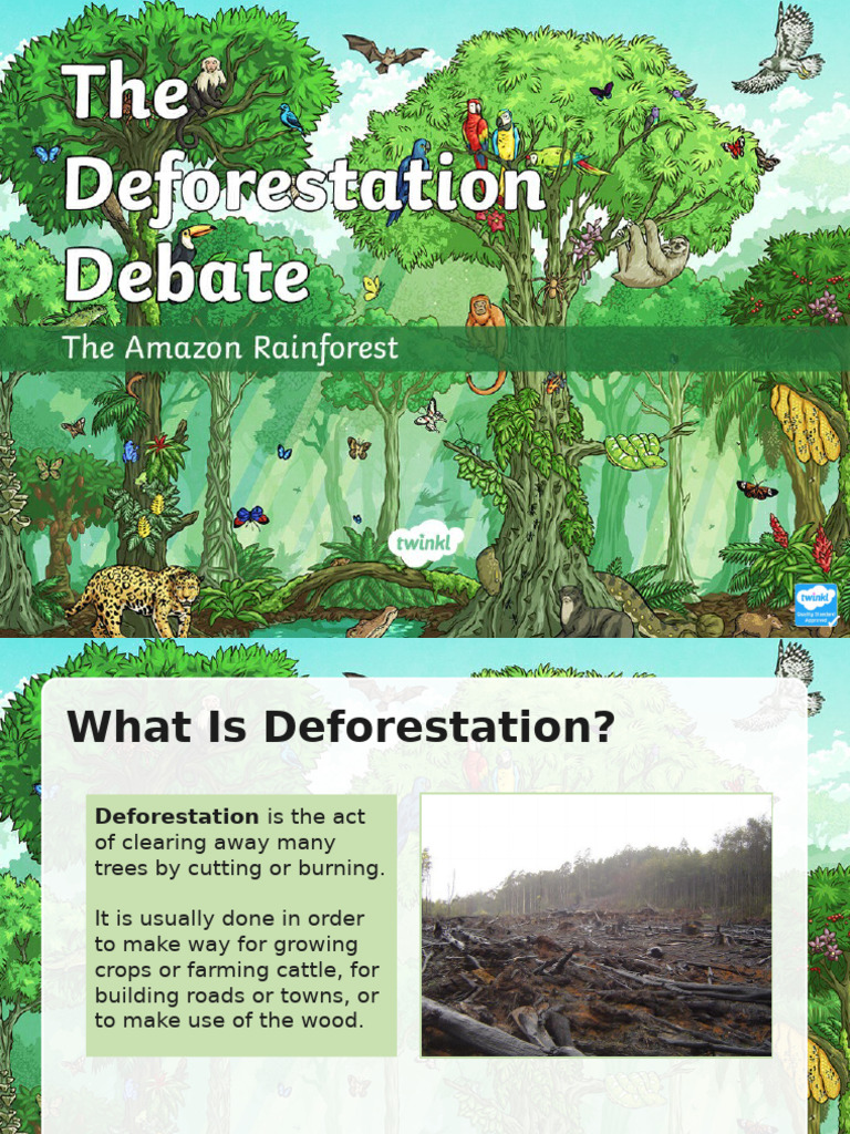 The Deforestation Debate PowerPoint | PDF | Deforestation | Rainforest