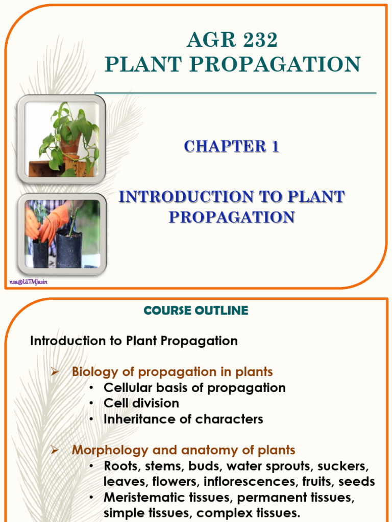 Agr 232 - Chapter 1 - Introduction To Plant Propagation | PDF | Meiosis ...