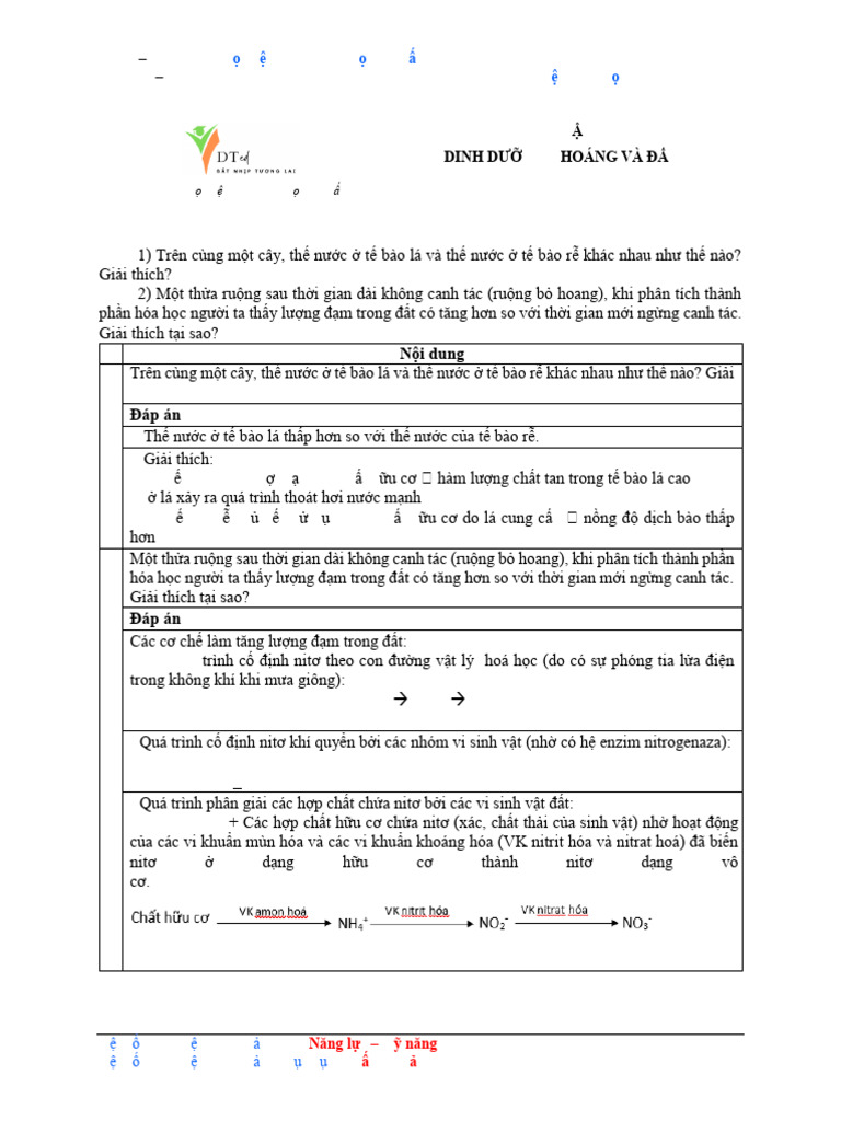 2 - 11 - ĐA - BTVN - Dinh Dưỡng Đất Và Khoáng TV | PDF