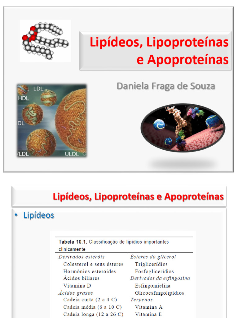 Lip&XED Deos, Lipoprote&XED Nas e Apoprote&XED Nas Resumido | PDF | Lipoproteína | Colesterol