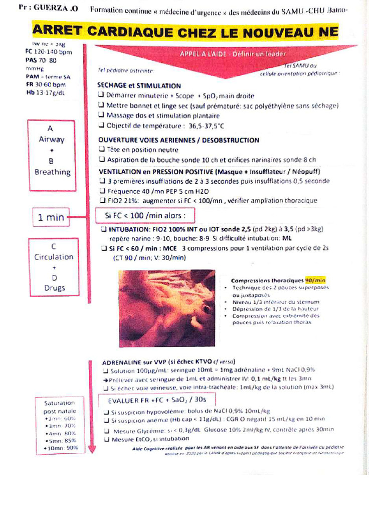 Arrêt Cardiaque | PDF