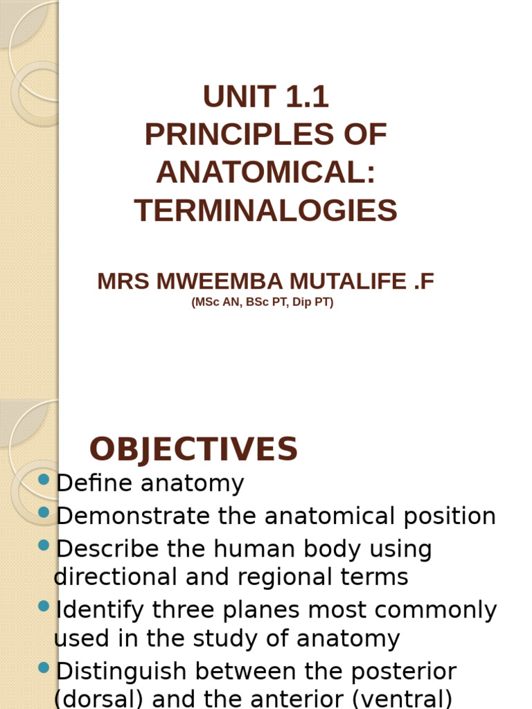 Anatomical Terminalogy - 010639 | PDF | Anatomical Terms Of Motion ...