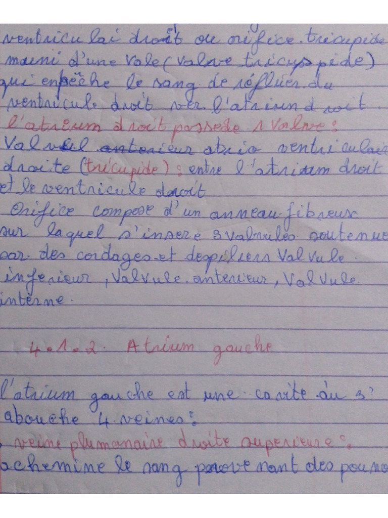 PDFReader 20241111 1926 | PDF