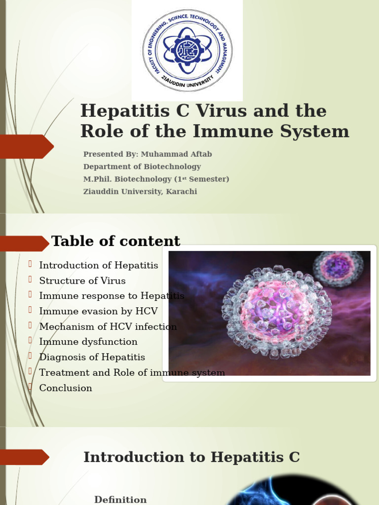 Hepatitis C and The Role of The Immune | PDF | Hepatitis C Virus | Immune System