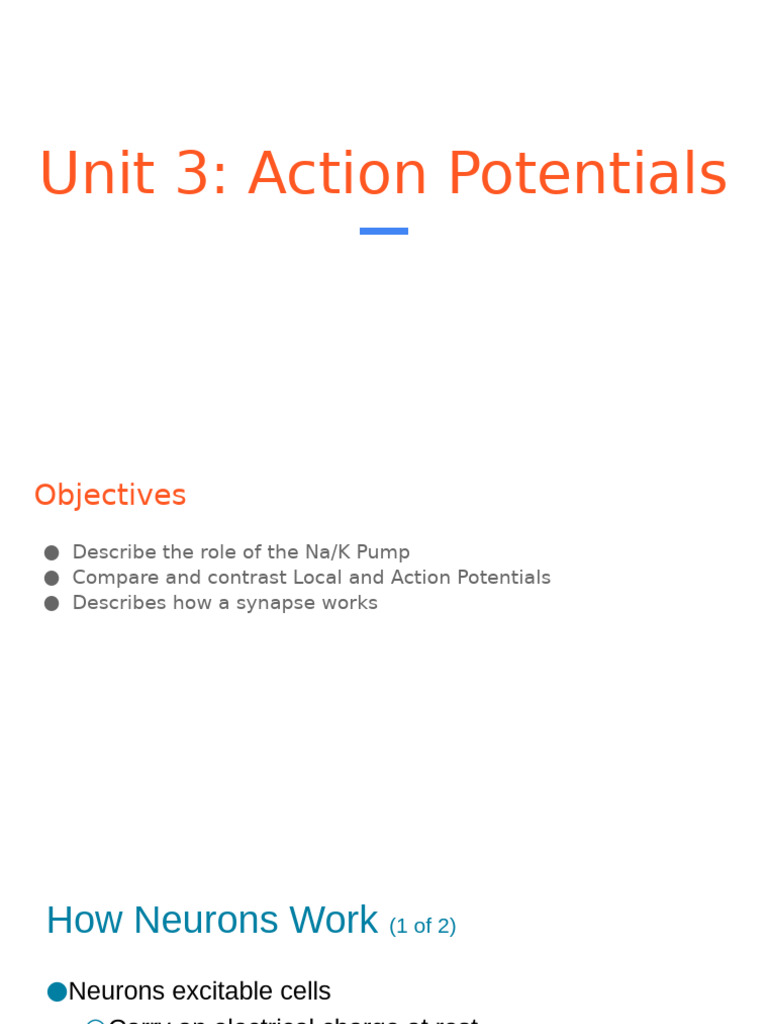 Unit 3 - Action Potentials | PDF | Action Potential | Axon