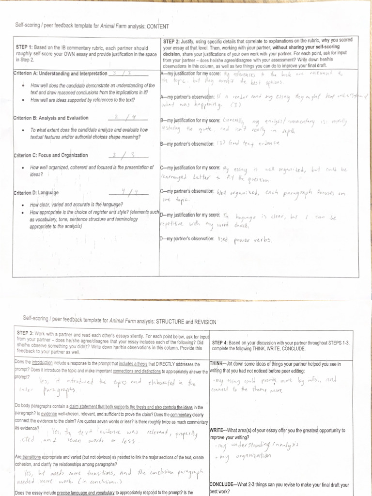 AF Peer Review Sheet | PDF