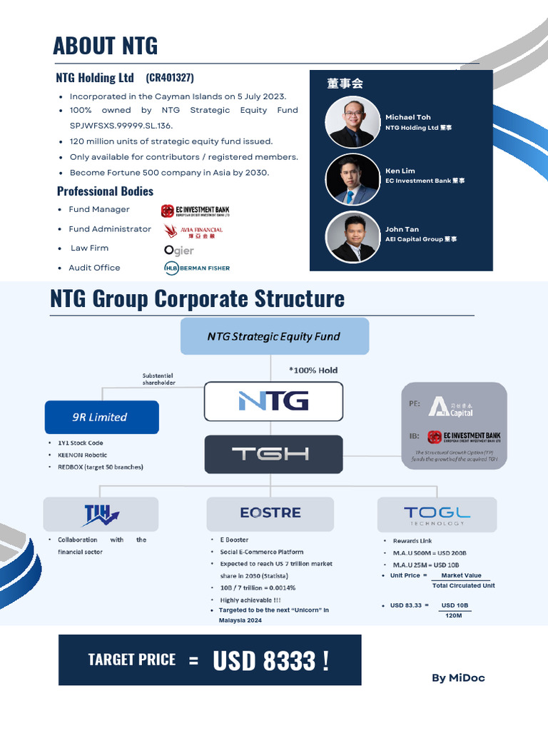 Abount NTG & STRP | PDF | Business | Private Sector