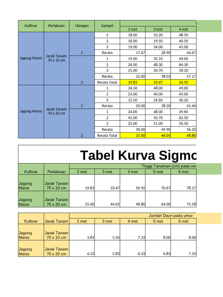 Excel Fistan Rizki Rahma | PDF