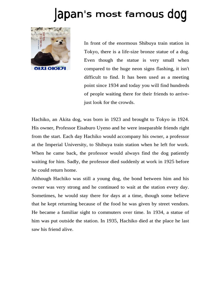 Hachiko Reading Comprehension | PDF