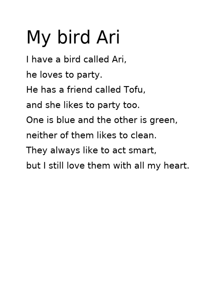 My Bird Ari | PDF