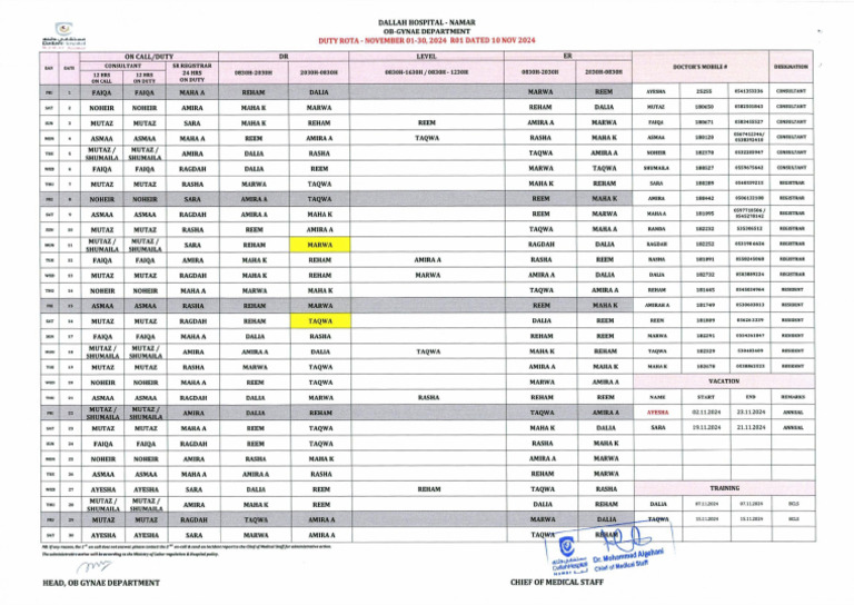 Duty Rota Nov 2024 - Ob Gynae r01 | PDF