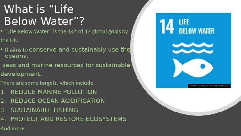 What Is Life Below Water | PDF | Science & Mathematics | Technology ...