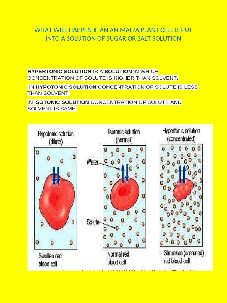 CELL MEMBRANE | PDF | Osmosis | Cell Membrane