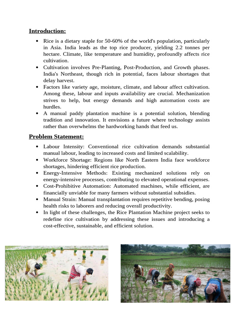 Introduction | PDF | Agriculture | Rice