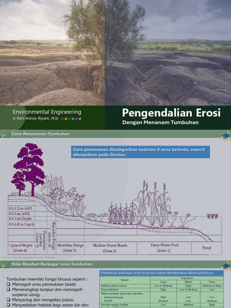 Pengendalian Erosi Dengan Menanam Tumbuhan | PDF