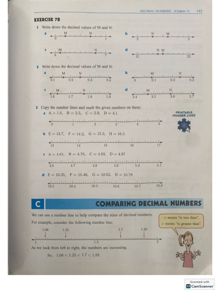 Number Line Homework | PDF
