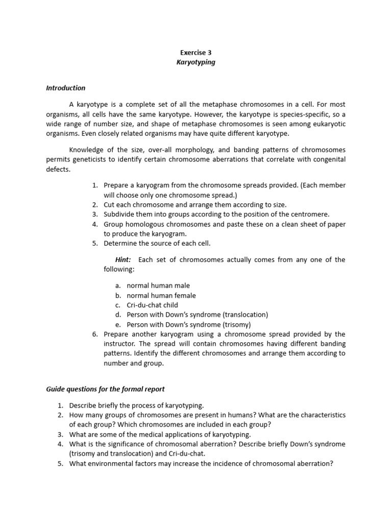 Karyotyping Exercise Instructions | PDF