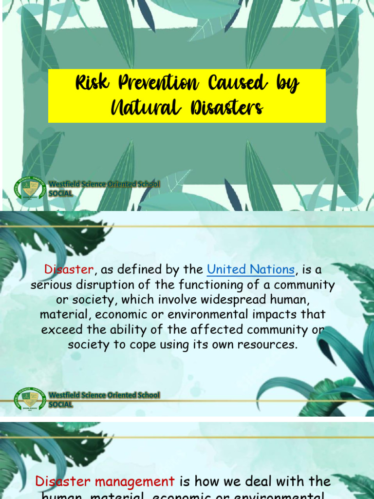 Risk Prevention Caused by Natural Disasters | PDF | Emergency ...
