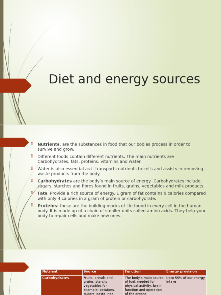 Carbohydrates: Key Energy Sources | PDF | Food Energy | Carbohydrates