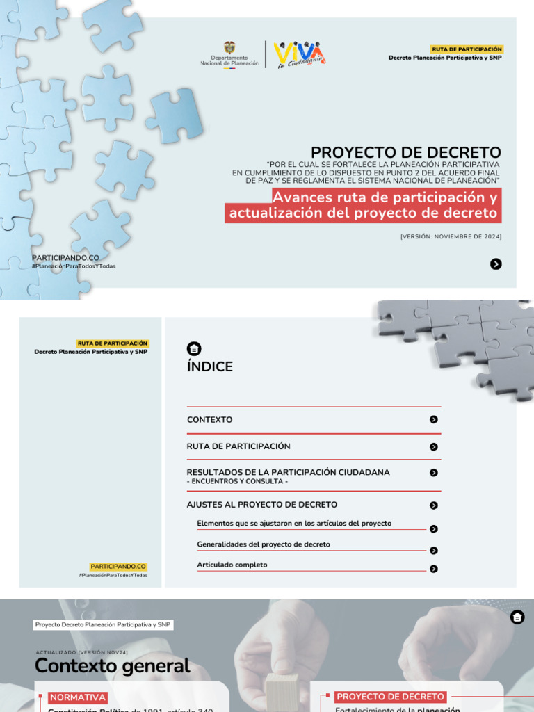 SNP Pres Proyecto Decreto V2 (202411) | PDF | Planificación
