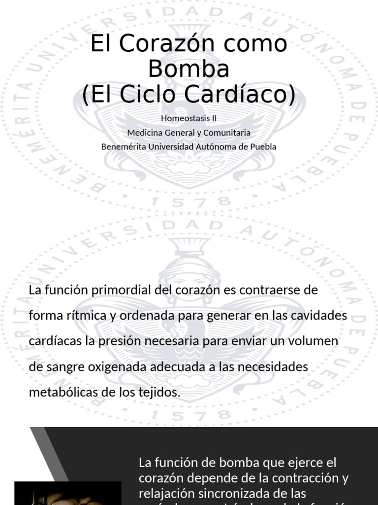 El Corazón Como Bomba | PDF | Corazón | Ventrículo (corazón)