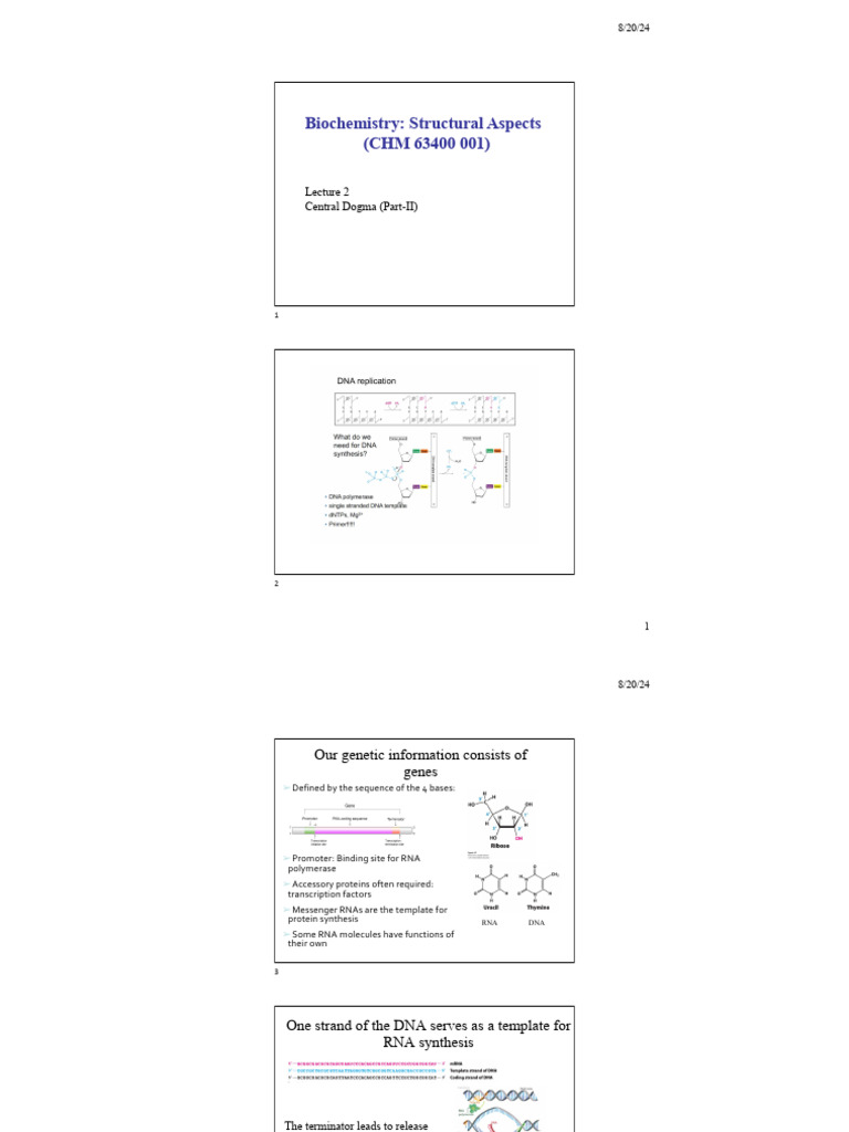 Lecture2 CHM634 Central Dogma | PDF | Amino Acid | Proteins