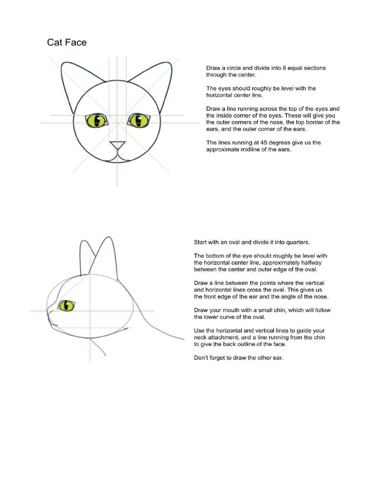 Drawing Guide Cat Faces | PDF