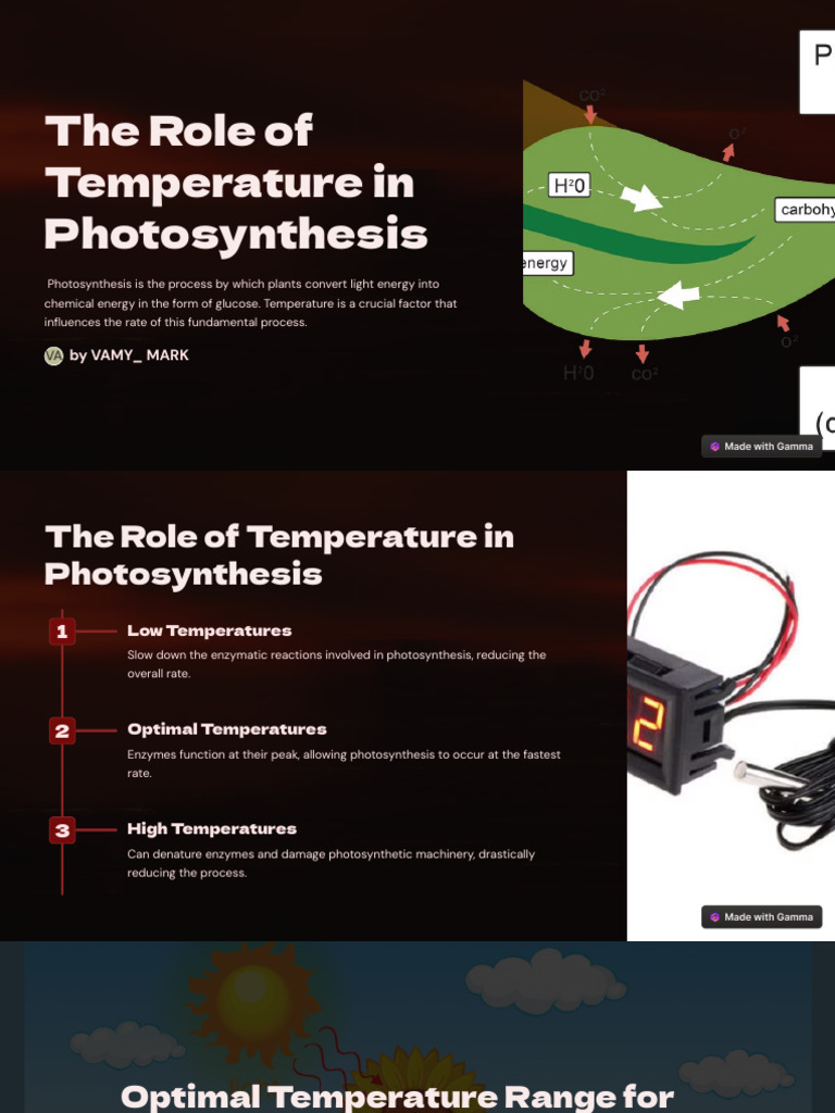 The Role of Temperature in Photosynthesis | PDF | Photosynthesis | Enzyme