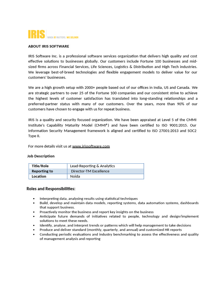 Job Description Format-Reporting and Analytics | PDF | Analytics | Data