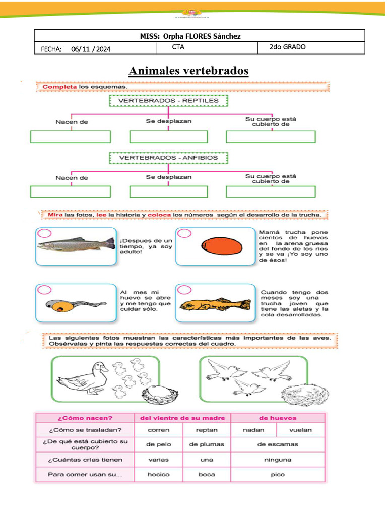 Fichas de Vertebrados | PDF