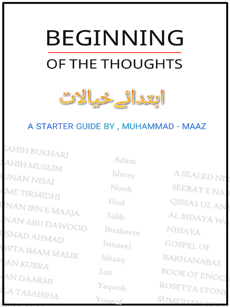 Begineers Guide | PDF