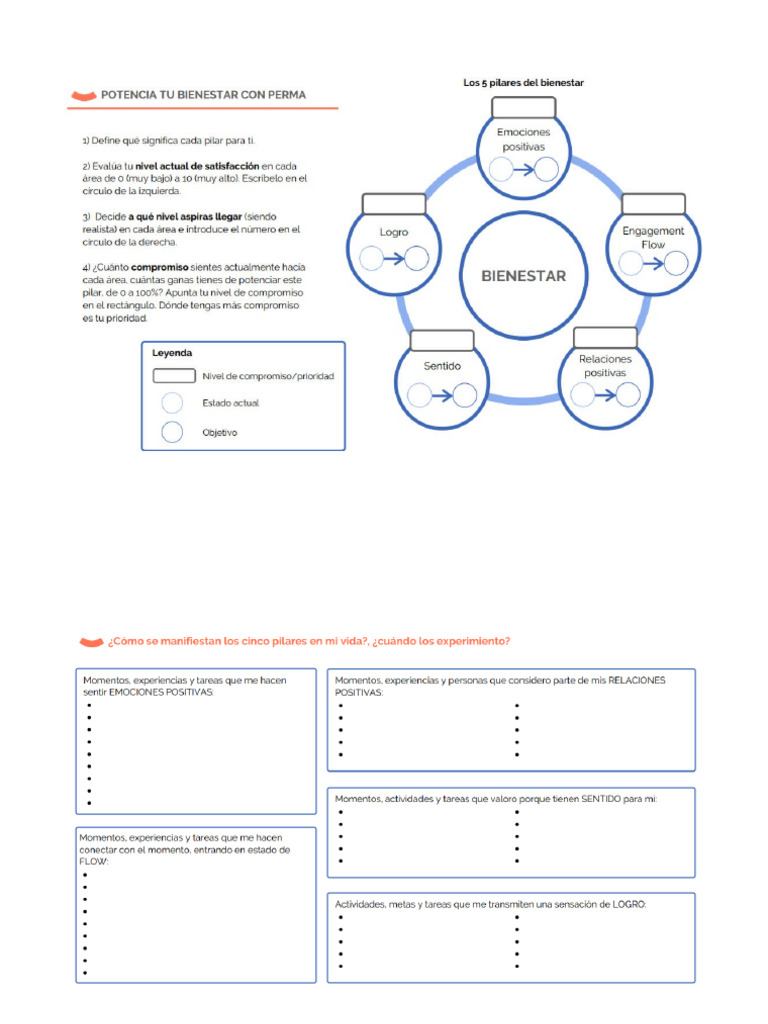 Práctica PERMA | PDF