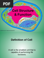 Plant Cell - Structure, Parts, Functions, Labeled Diagram | PDF | Cell ...