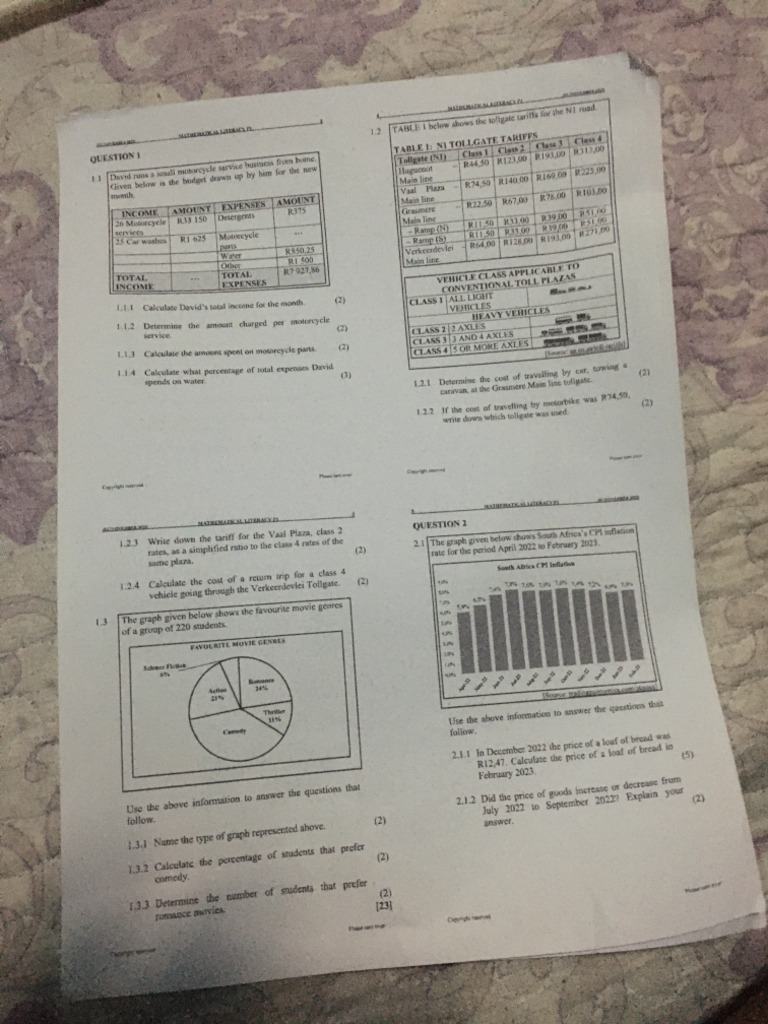Maths Lit Grade 11 | PDF