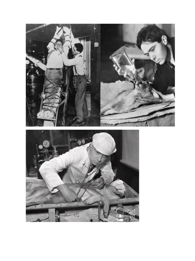 Dr. Robert Cornish | PDF