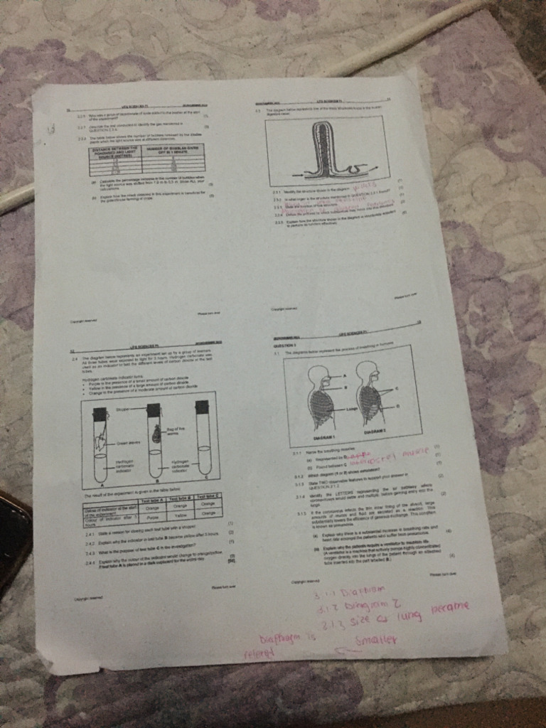 Life Science Grade 11 | PDF