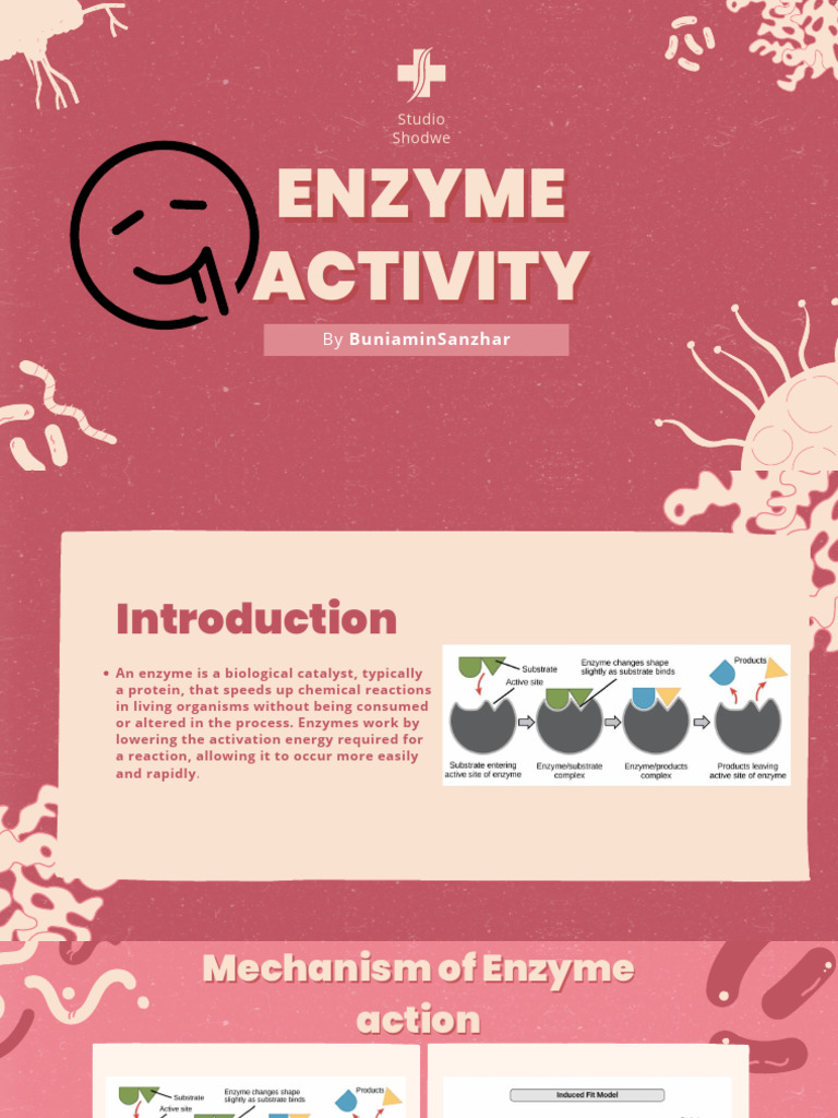 Enzyme Activity PDF | PDF | Wellness