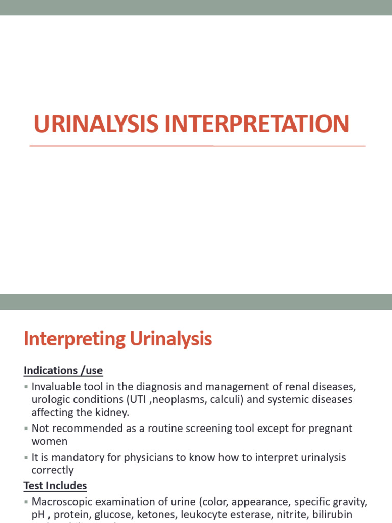 Urinalysis-Interpretation | PDF | Kidney | Kidney Disease