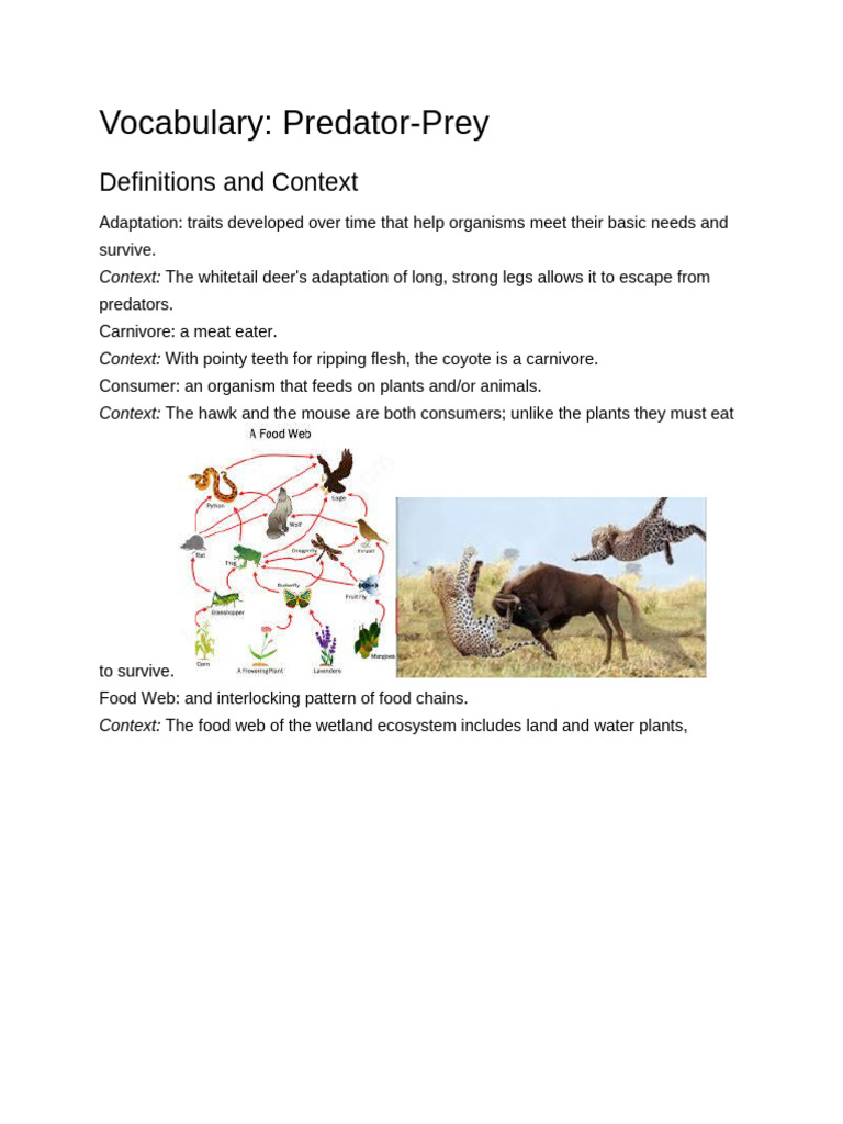 Predator-Prey Vocabulary Explained | PDF | Science & Mathematics